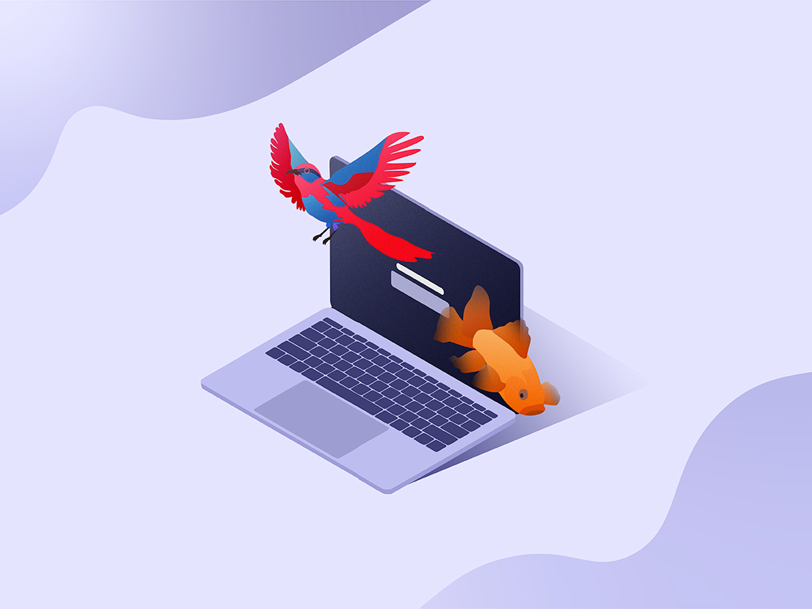 Introduction to Adobe Firefly | UCATT
